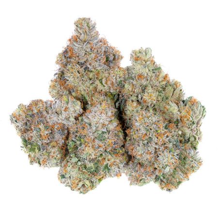 Alien Labs Disposable | Alien Labs